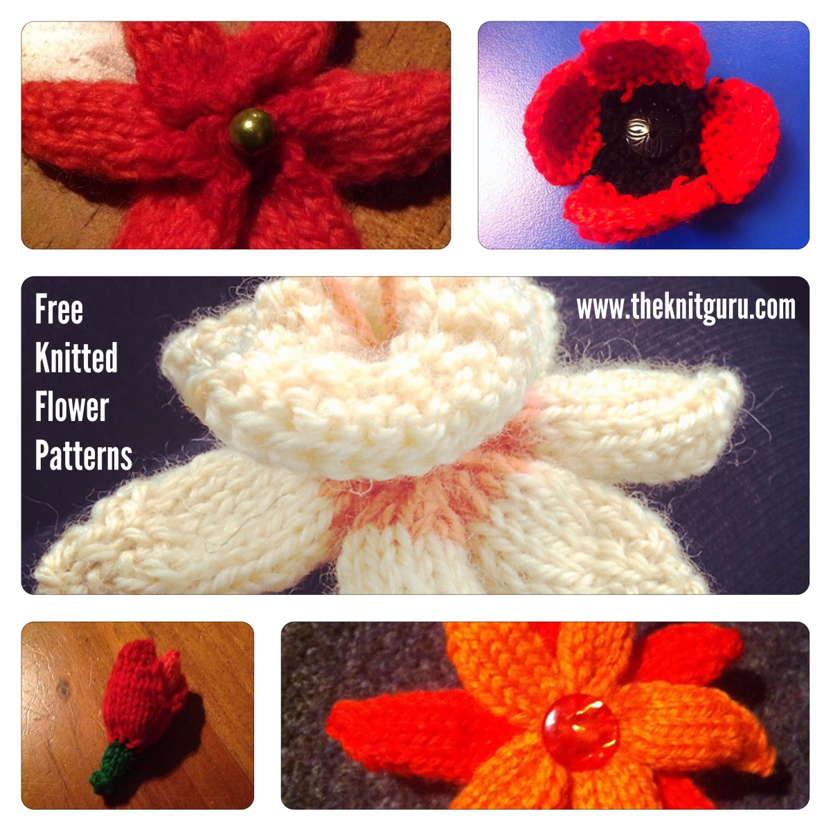 Knitted Flowers – Free Patterns – The Knit Guru