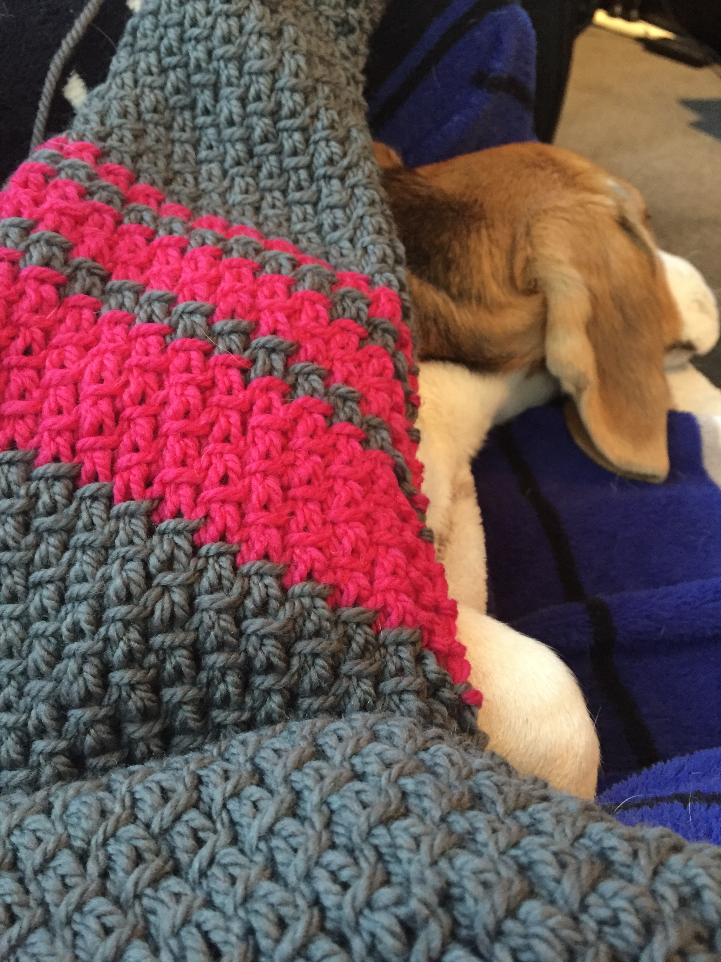 ‘Talia Bright’ Scarf Knitting Pattern – The Knit Guru