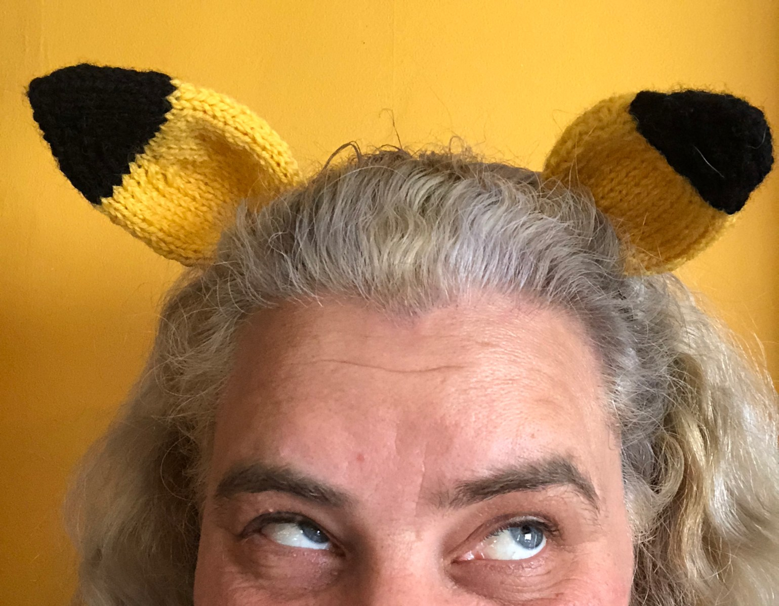 Free Pokemon Knitting Patterns – The Knit Guru