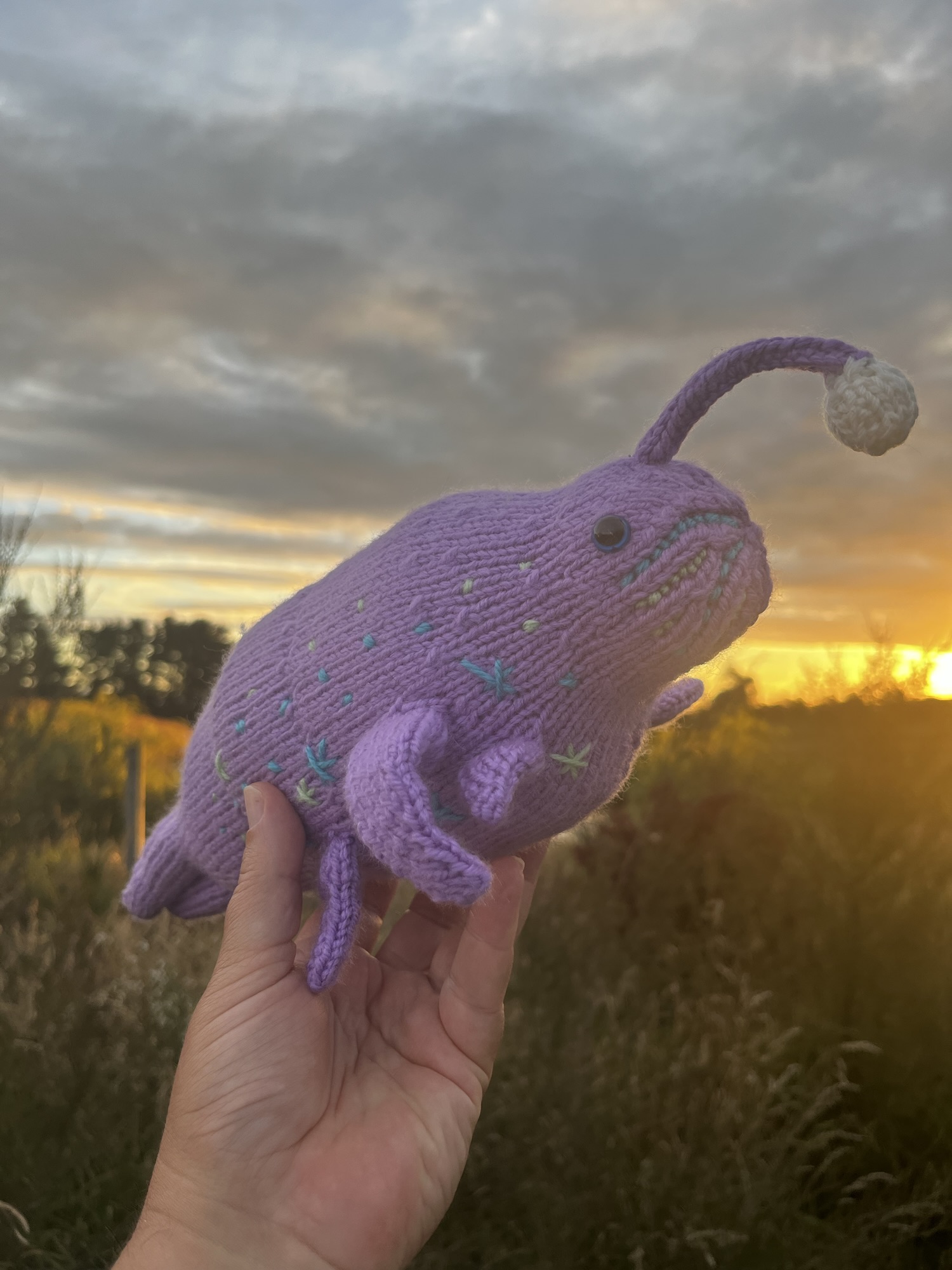 Starwhale 2.0 – Free Knitting Pattern – The Knit Guru