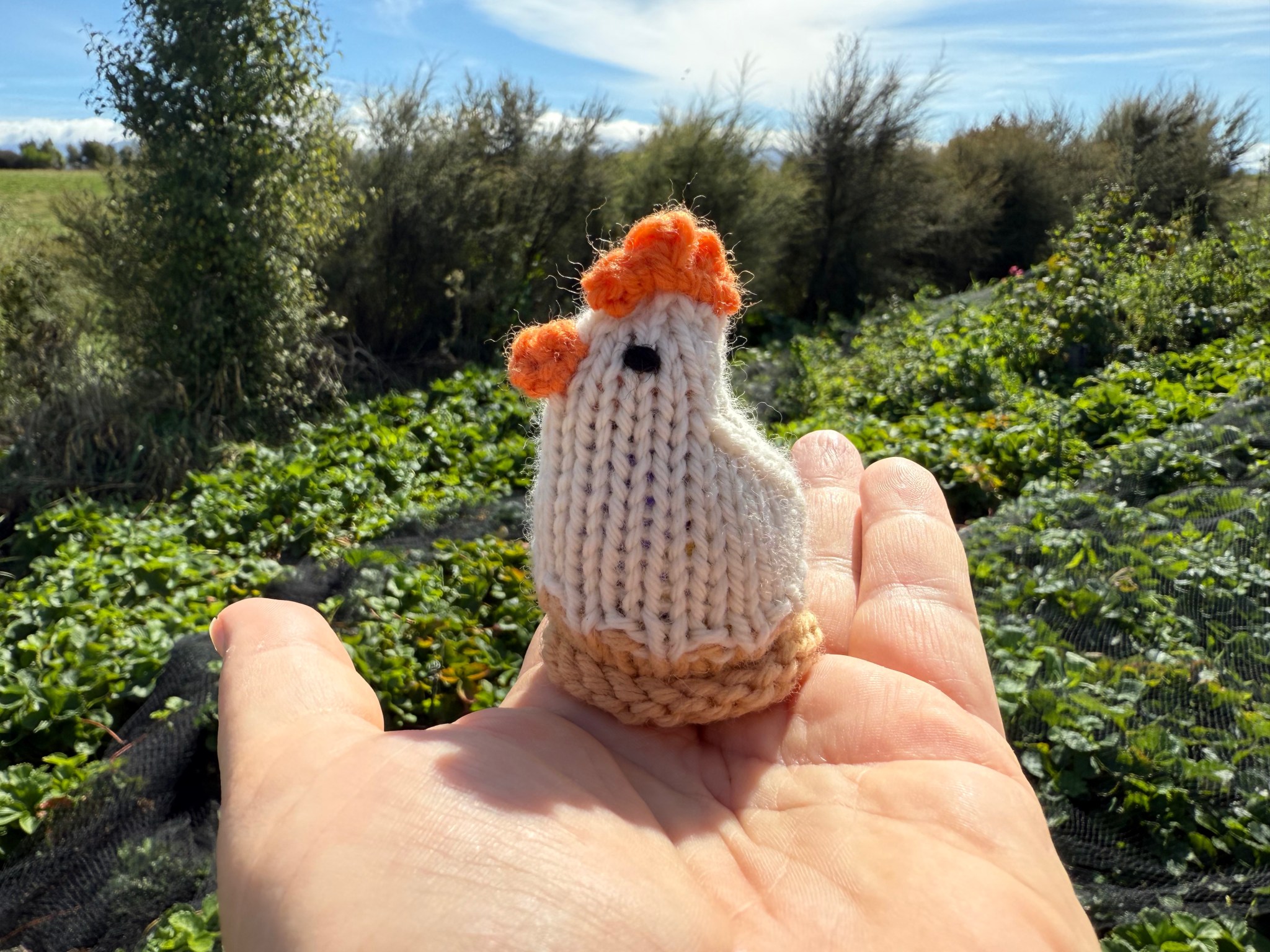 Easter Egg Chick – Free Knitting Pattern – The Knit Guru